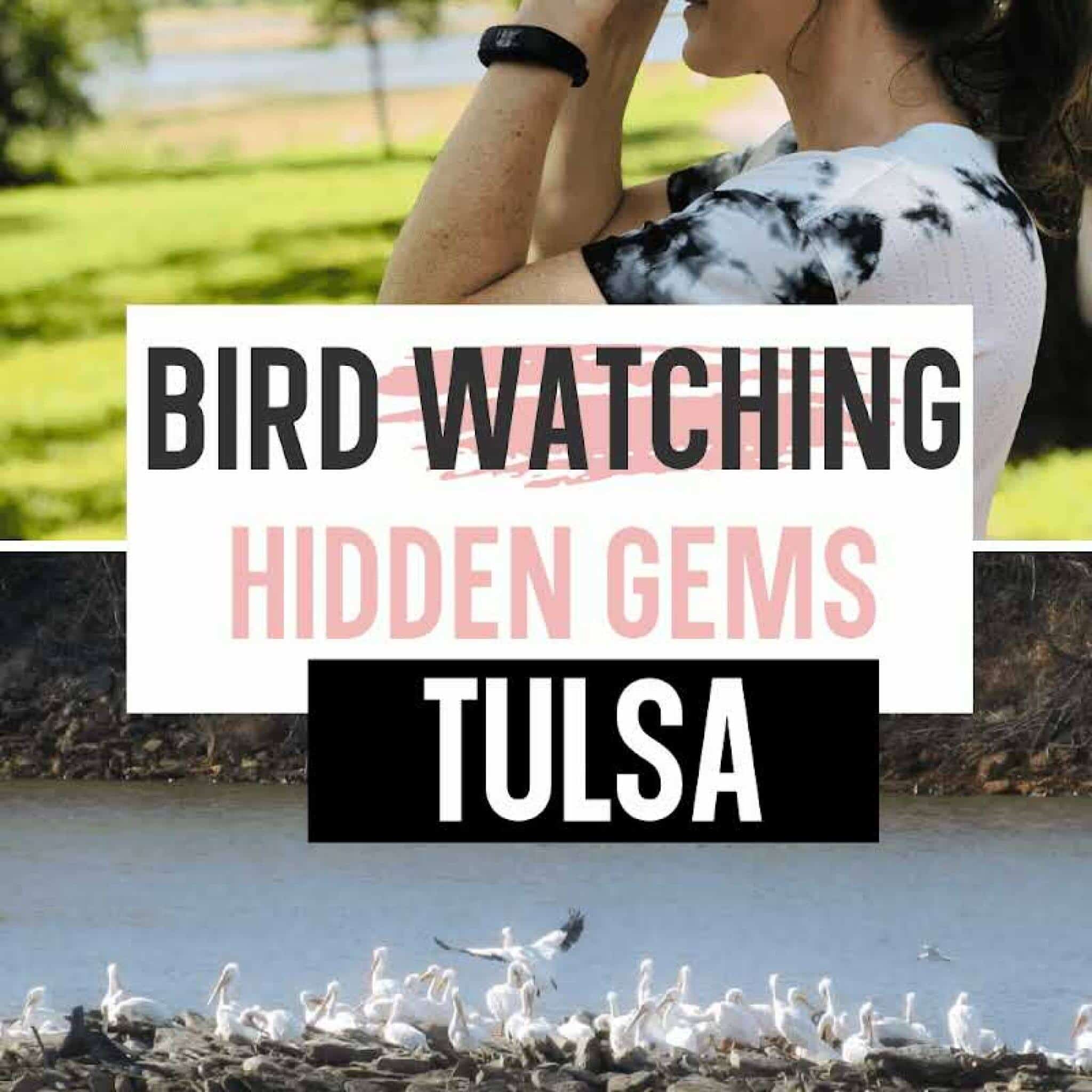 Best Places To Go Bird-Watching in Tulsa - The Happiness Function