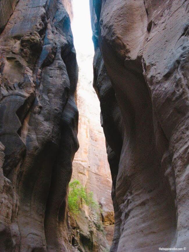 Guide To Hiking Orderville Canyon: A Great Alternative to The Subway ...