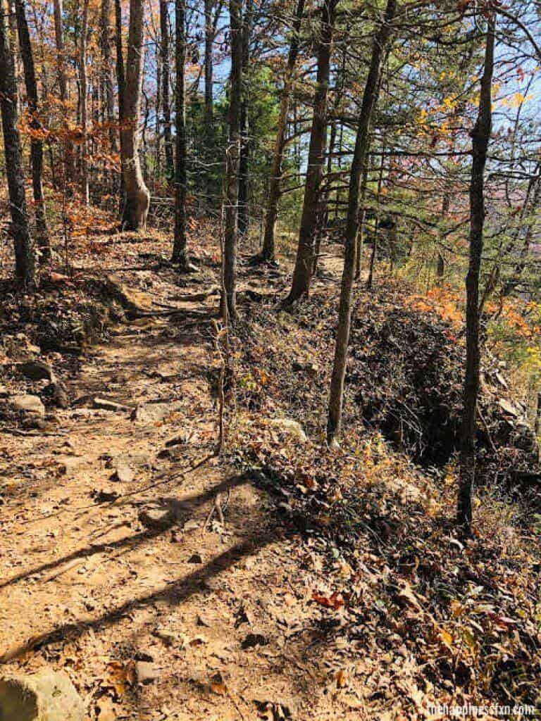 Fall Road Trip: Camp & Hike to Hawksbill Crag in the Ozarks - The ...