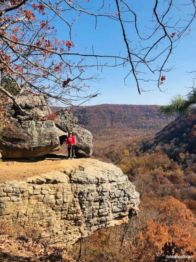 Fall Road Trip: Camp & Hike to Hawksbill Crag in the Ozarks - The ...