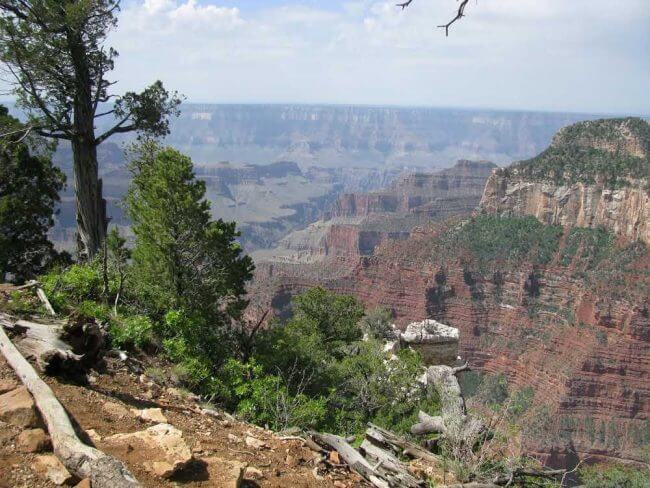 Guide To Visiting The North Rim of the Grand Canyon - The Happiness ...