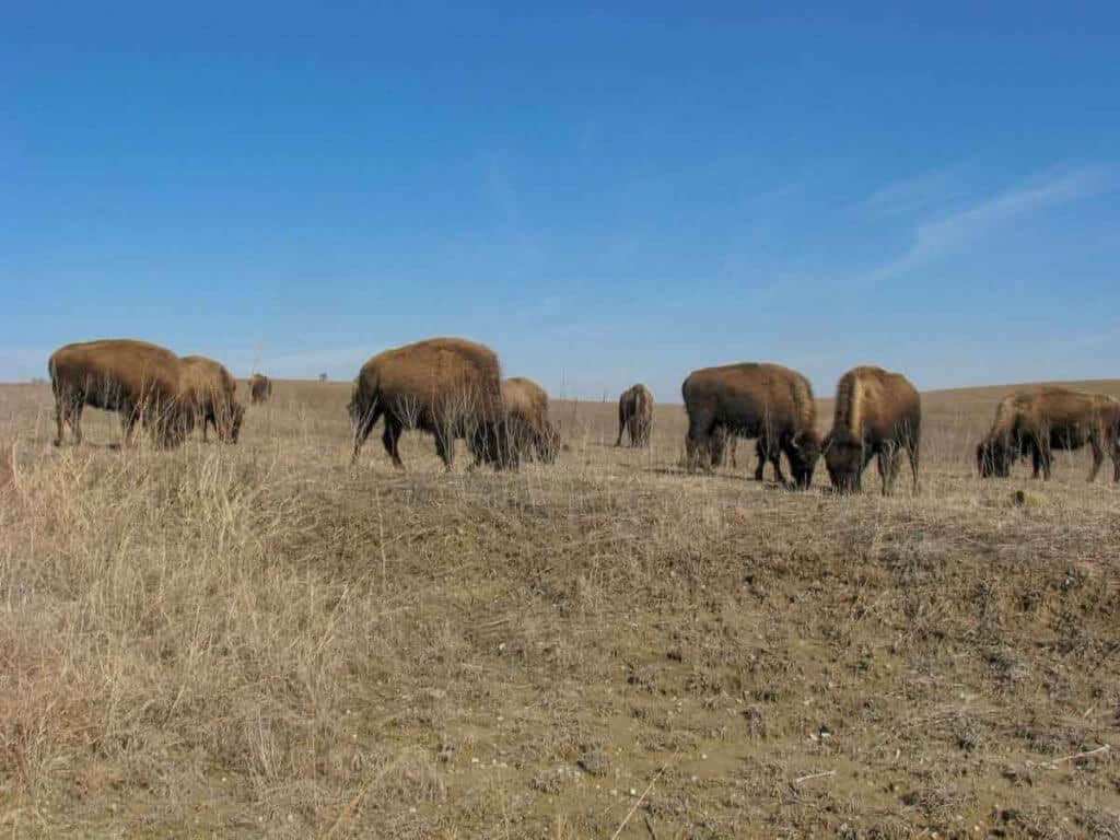 27 Epic Road Trips From Tulsa - The Happiness Function