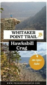 How To Reach Hawksbill Crag Hiking the Whitaker Point Trail - The ...