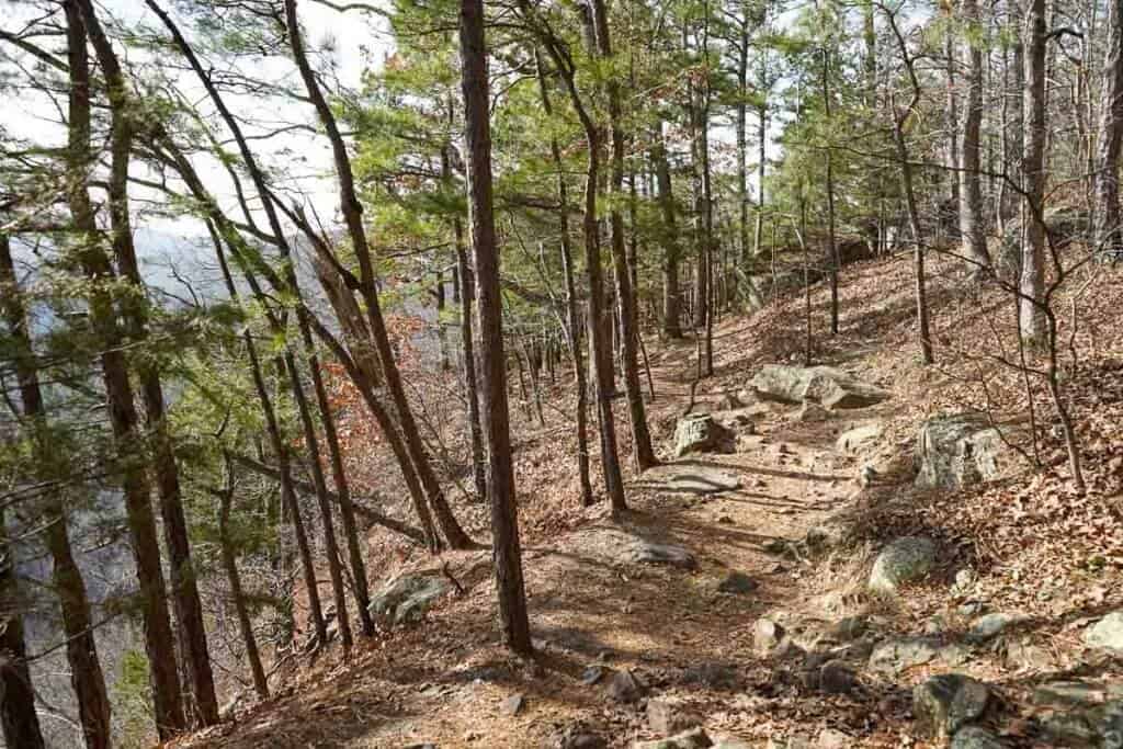 How To Reach Hawksbill Crag Hiking the Whitaker Point Trail - The ...