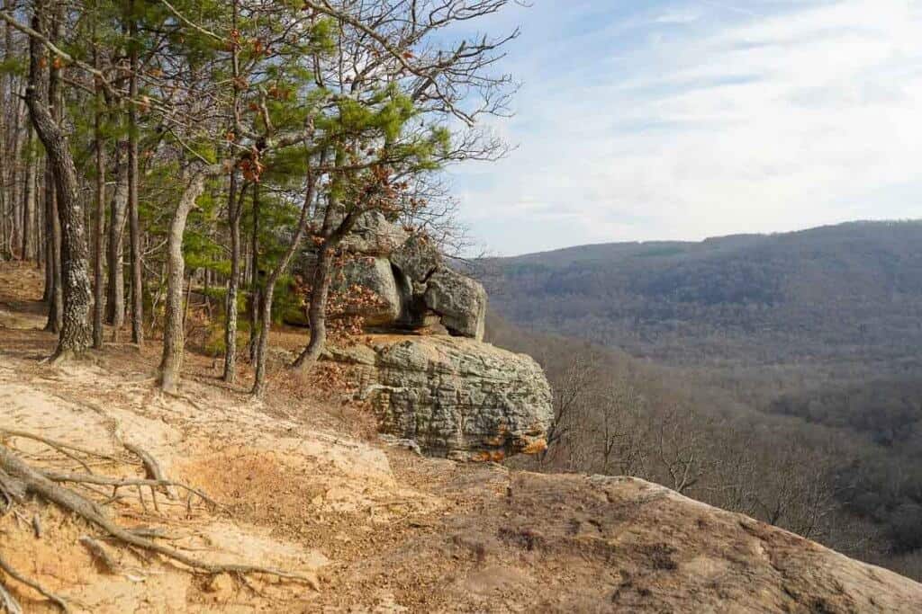 How To Reach Hawksbill Crag Hiking the Whitaker Point Trail - The ...