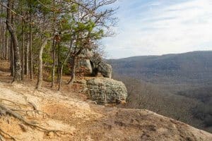 How To Reach Hawksbill Crag Hiking the Whitaker Point Trail - The ...