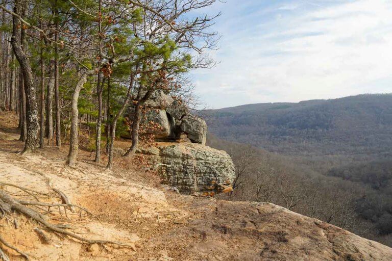 How To Reach Hawksbill Crag Hiking the Whitaker Point Trail - The ...