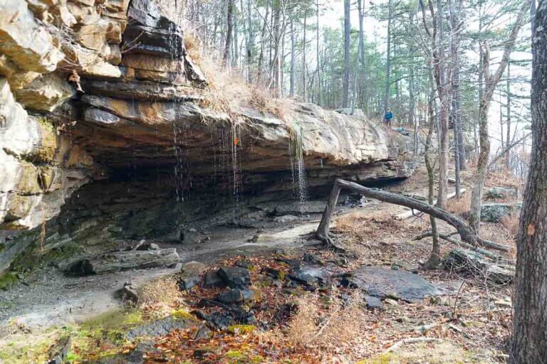 How To Reach Hawksbill Crag Hiking the Whitaker Point Trail - The ...