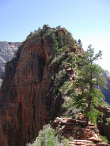 2-Day Itinerary for Zion National Park - The Happiness Function