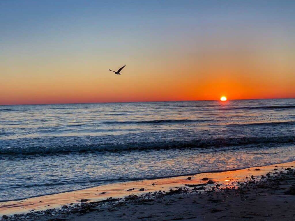 30+ Beautiful Beaches in Florida To Visit - The Happiness Function