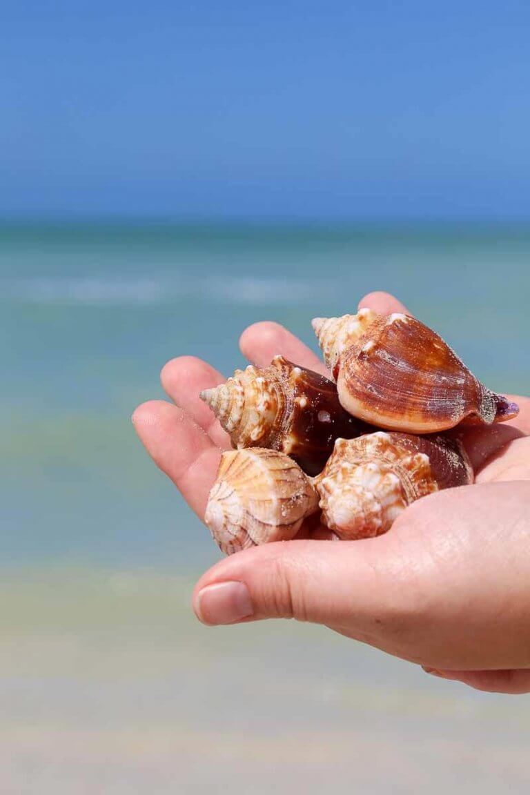 30+ Beautiful Beaches in Florida To Visit - The Happiness Function