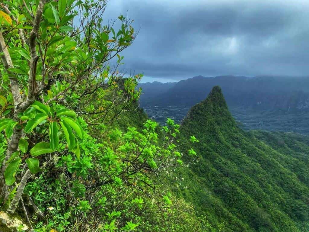 10 Great Hikes in Oahu with Incredible Views - The Happiness Function