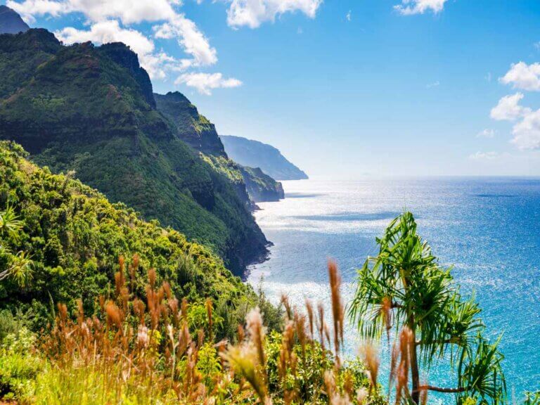 The Ultimate Hawaii Bucket List: 14 Epic Things To Do in Hawaii From a ...