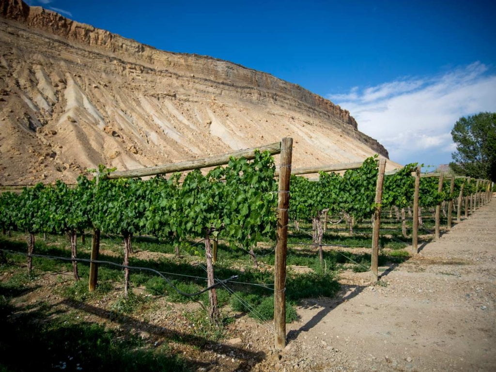 Guide To Exploring the Palisade Wineries in Western Colorado - The ...