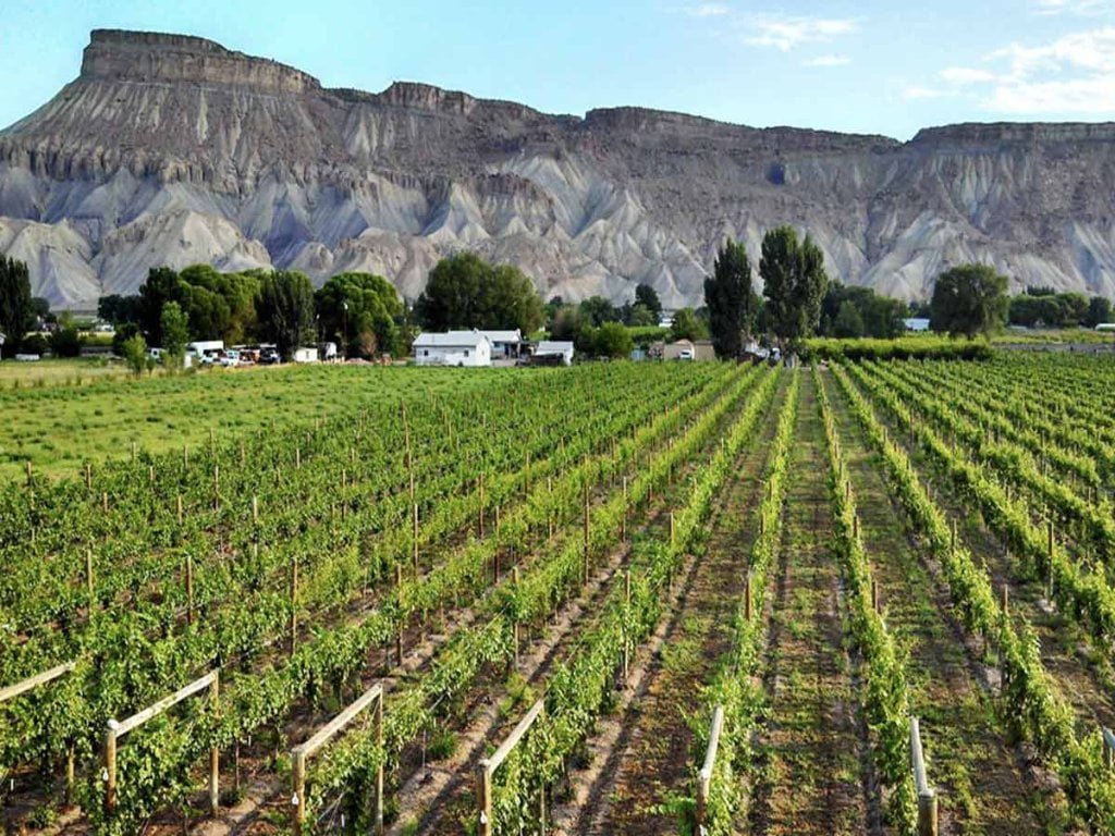 Guide To Exploring the Palisade Wineries in Western Colorado - The ...