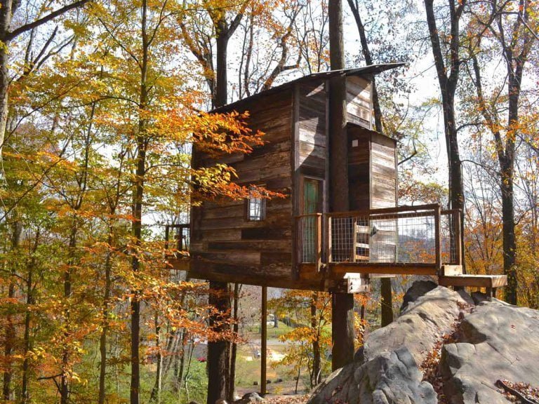 10 Incredible Airbnb Treehouse Rentals in the U.S. - The Happiness Function