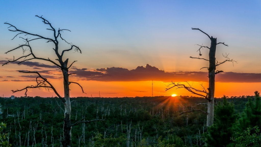 21 Best State Parks in Texas - The Happiness Function