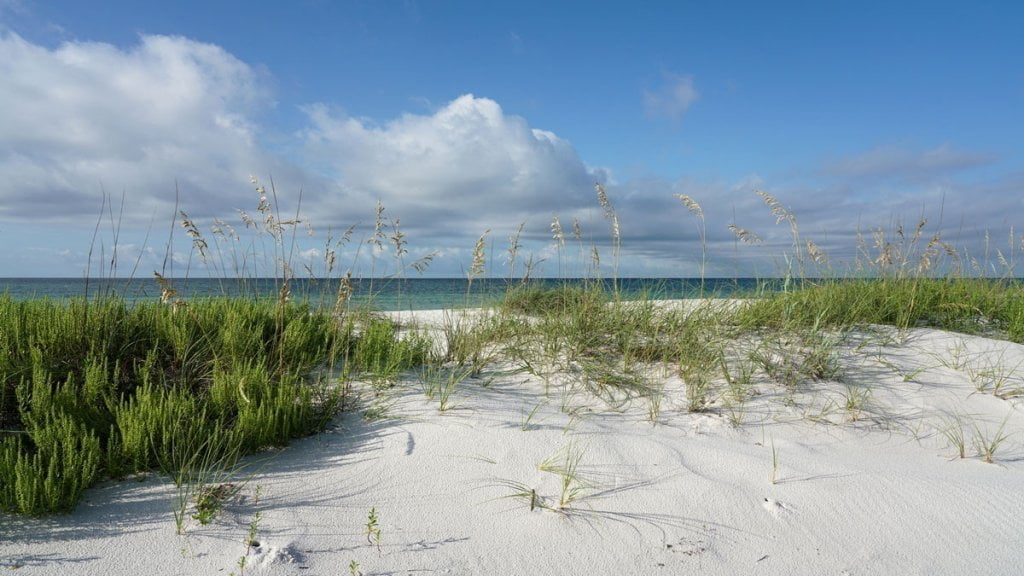 The 6 Most Beautiful National Parks in Florida - The Happiness Function