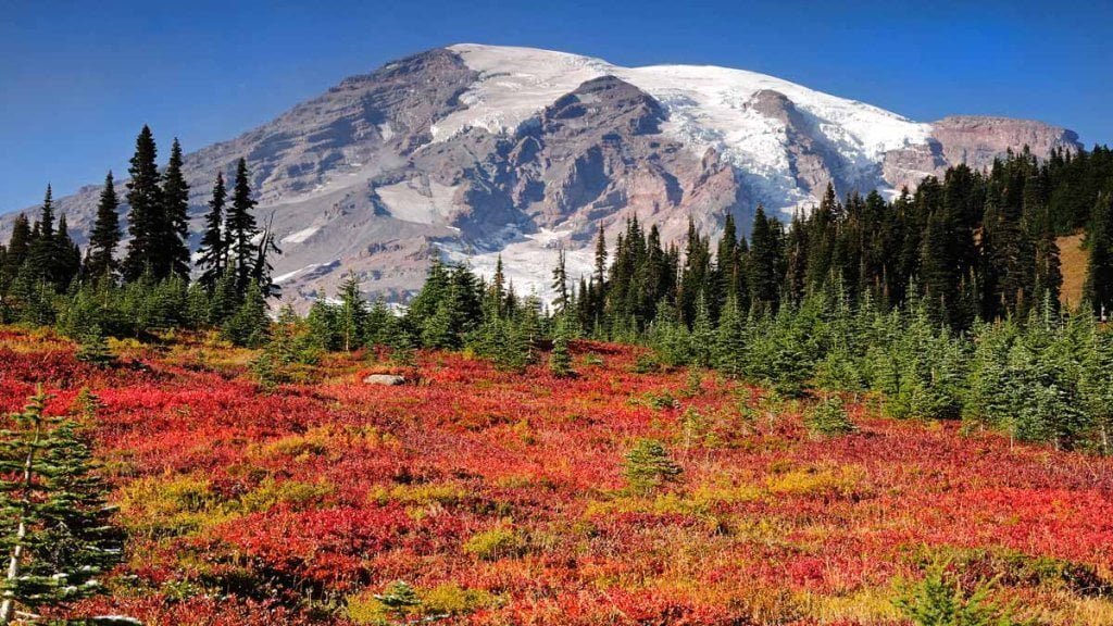 Guide To Visiting Washington's Beautiful National Parks (From a Local ...
