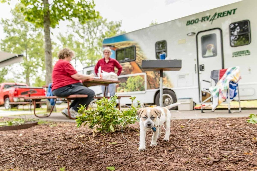 5 Pet-Friendly KOAs Perfect For a Labor Day Camping Trip - The ...