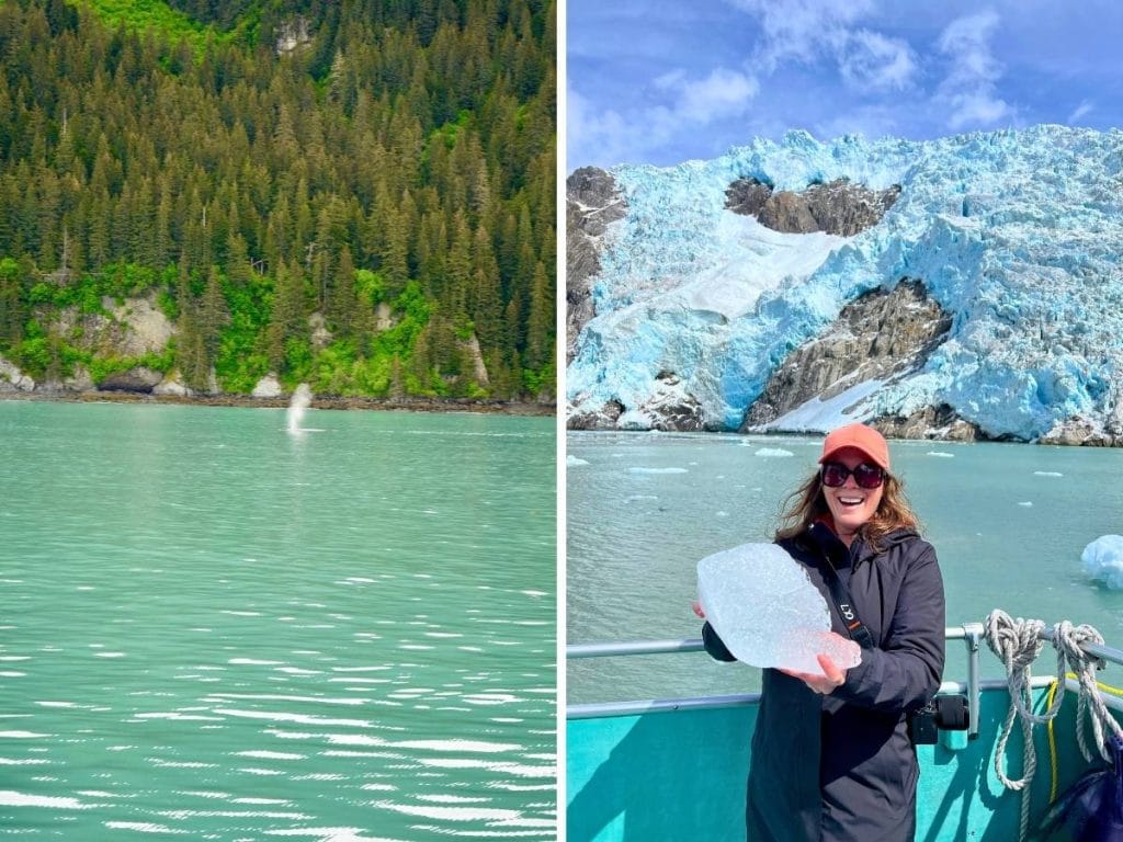 5-Day Itinerary for South Central Alaska: Seward, Fox Island, and Kenai ...